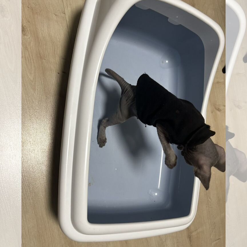 Лоток/лежанка для кошек