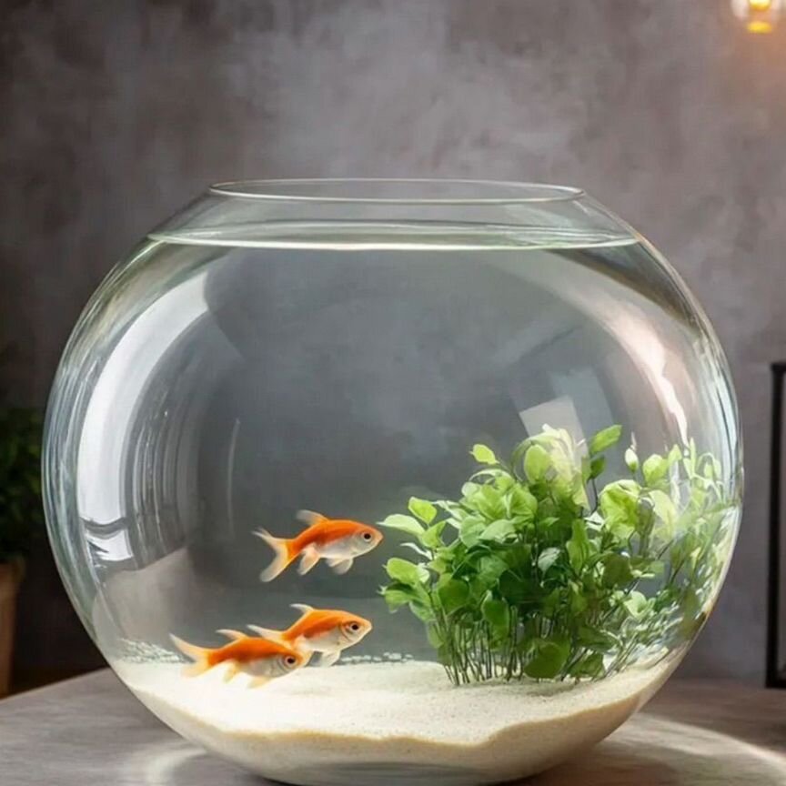 Аквариум для рыбок круглый из стекла 10 л