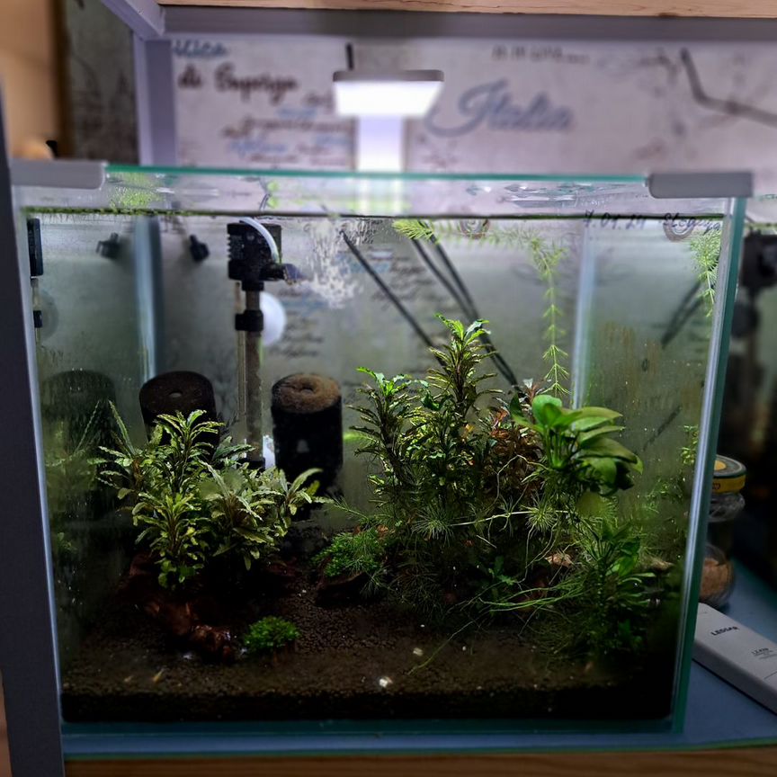 Продам аквариум
