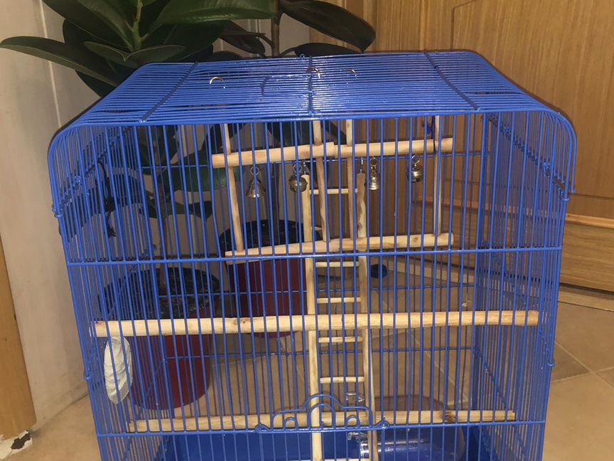 Клетка для попугая