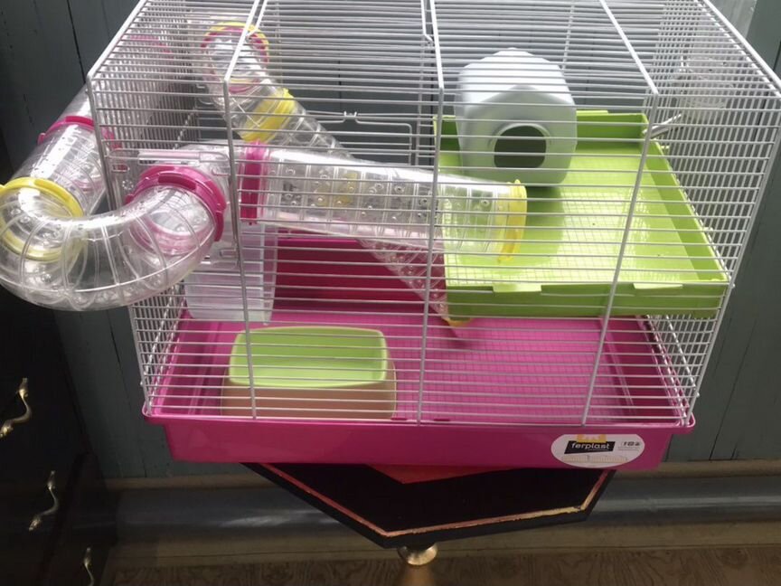 Клетка для грызунов ferplast