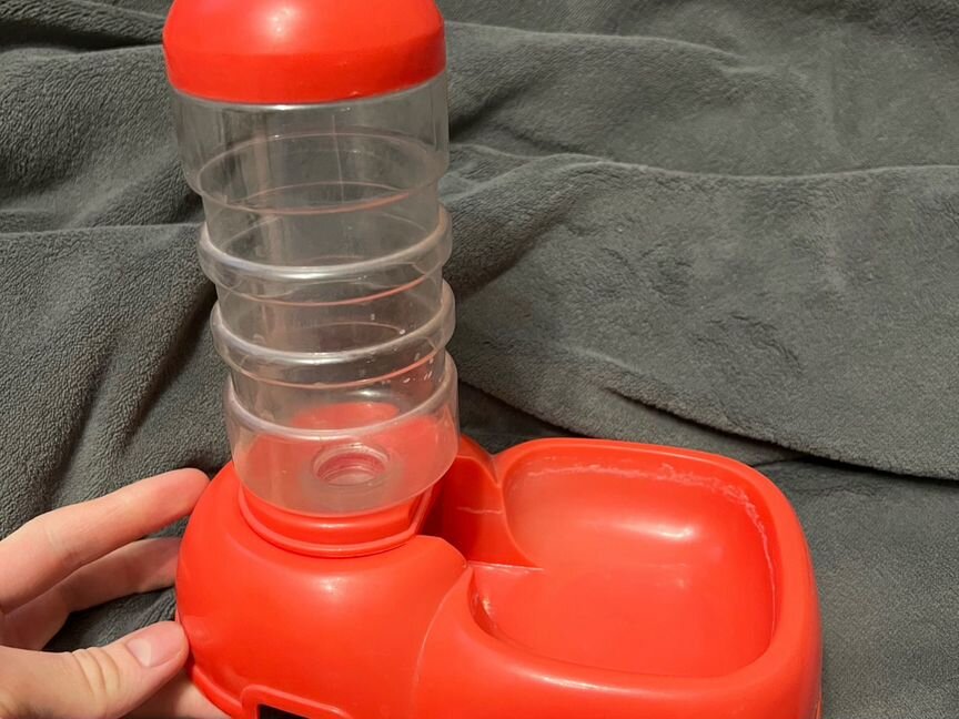 Аксессуары для кошек