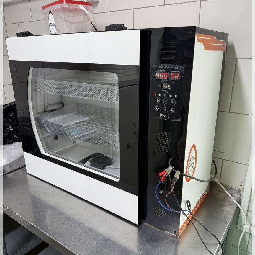 Инкубатор для яиц автоматический бу