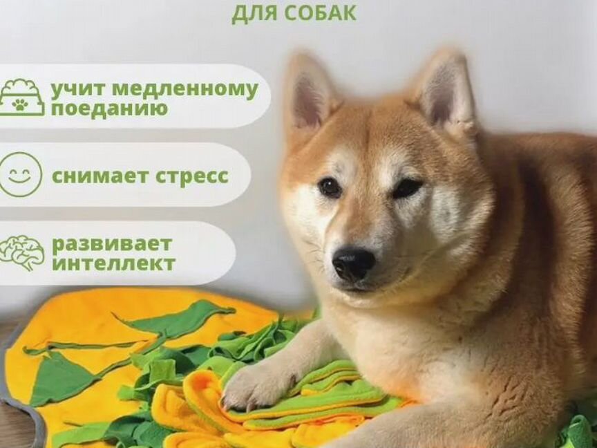Нюхательный коврик для собак и кошек