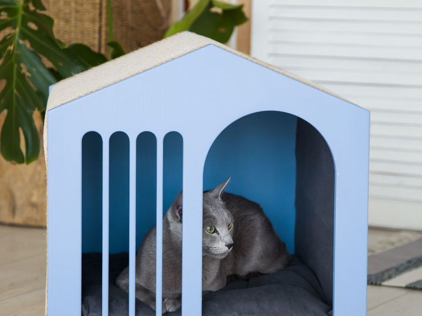 Домик лежанка для кошки : Инсар