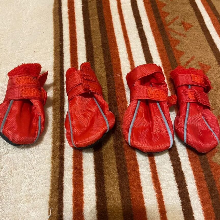 Ботинки для собак