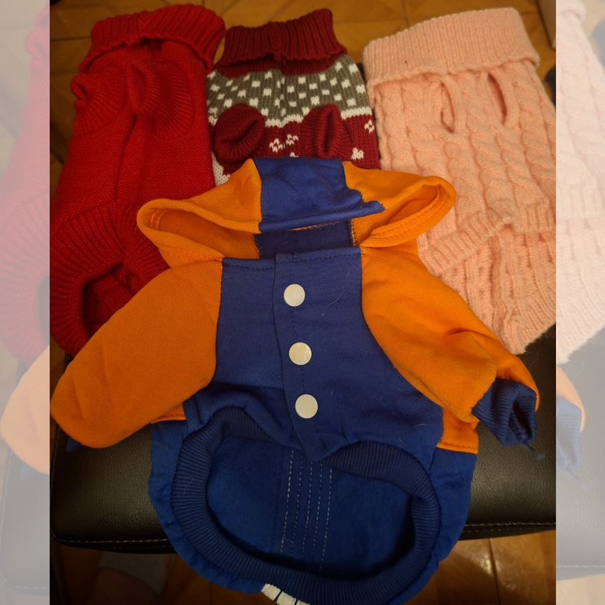 Одежда для маленьких собак