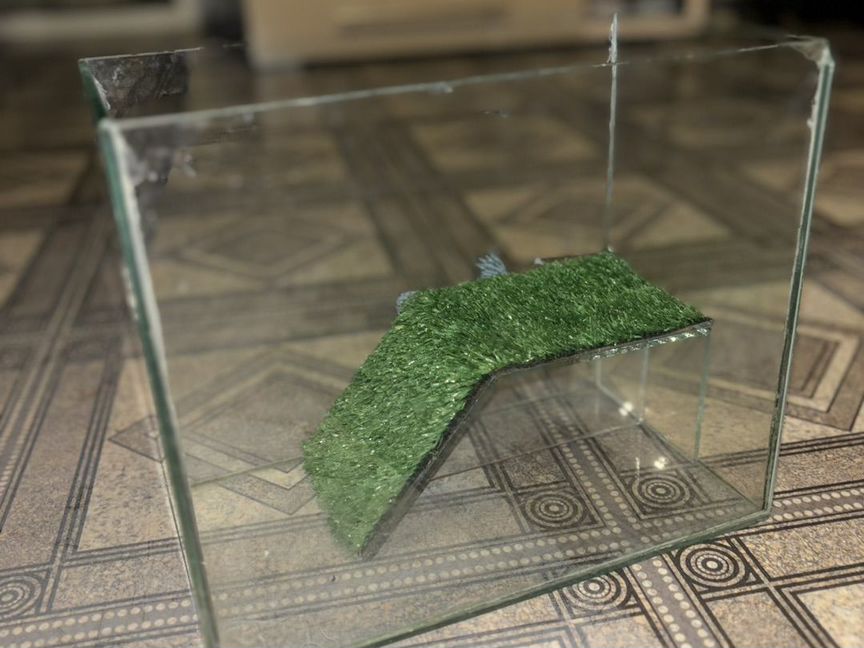 Аквариум с островом для черепашки