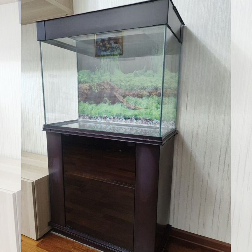 Аквариум с тумбой 100л