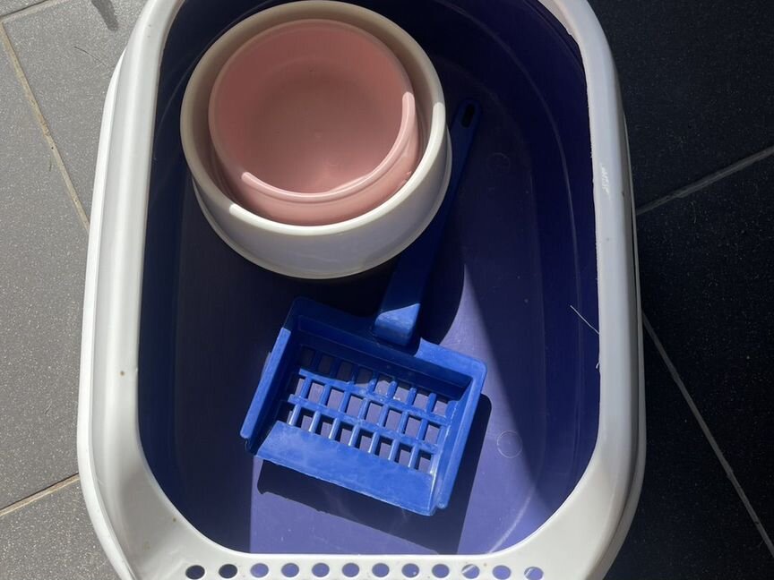 Лоток и миски для кота