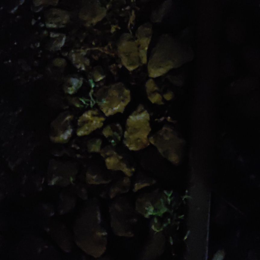 Грунт для террариума