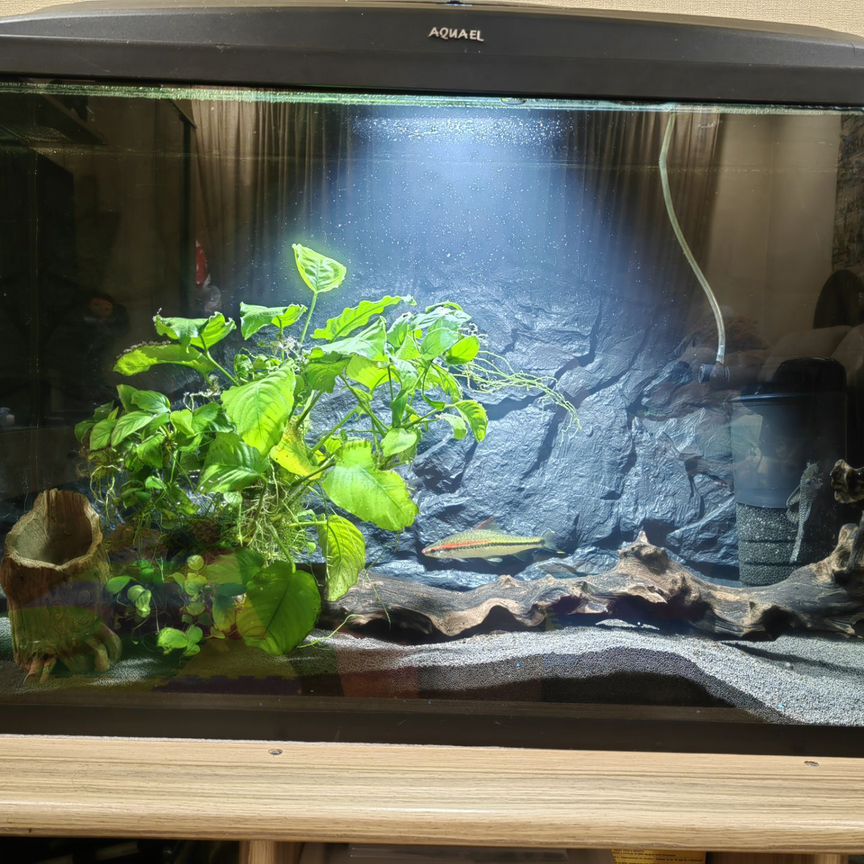 Аквариум Aquael