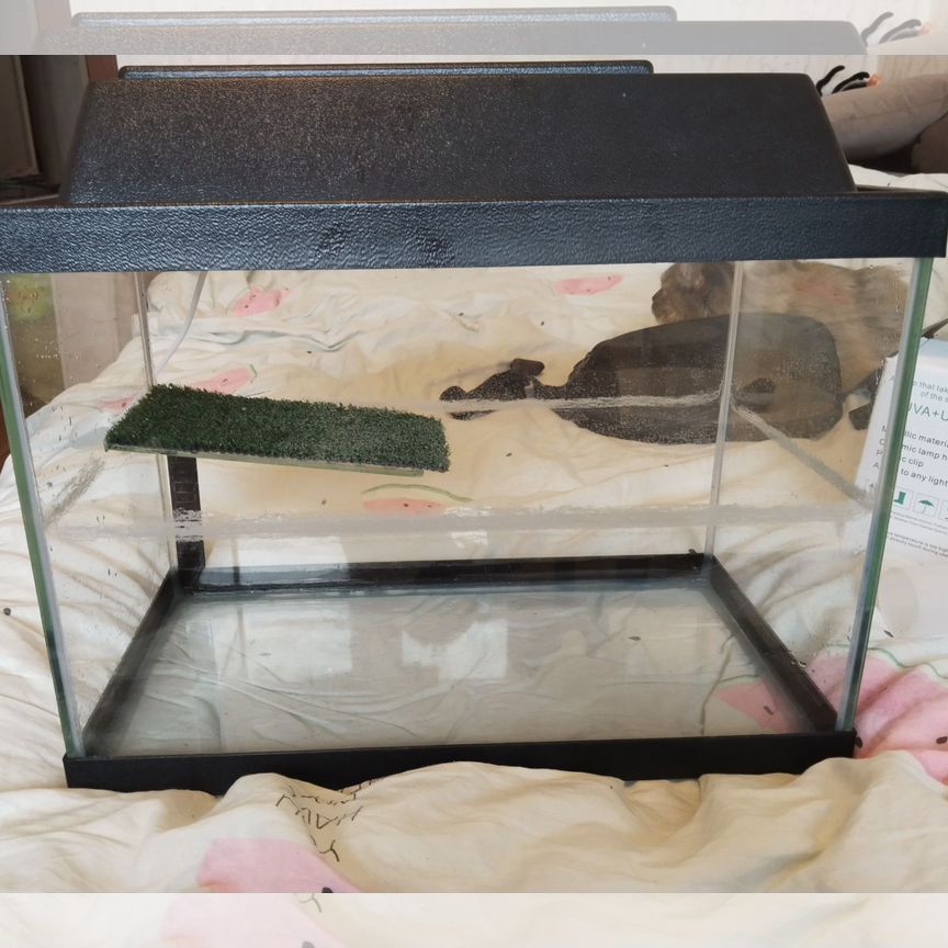 Аквариум 25л полный набор для черепахи или рыб