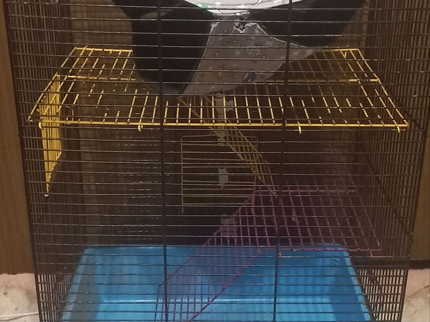 Клетка для крыс