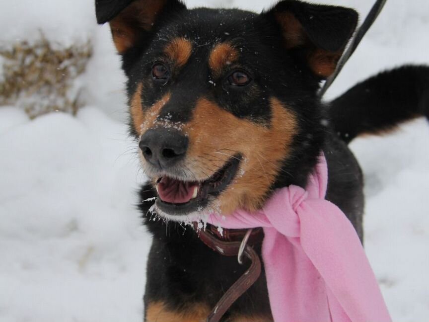 Чарли хочет улыбаться маме