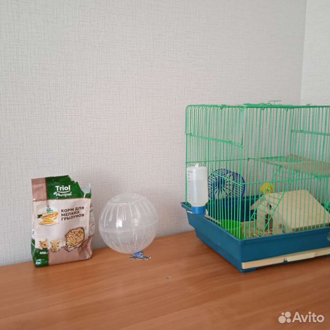 Клетка с хомякои