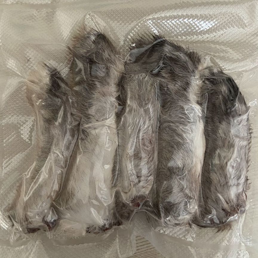 Лакомство для собак и кошек