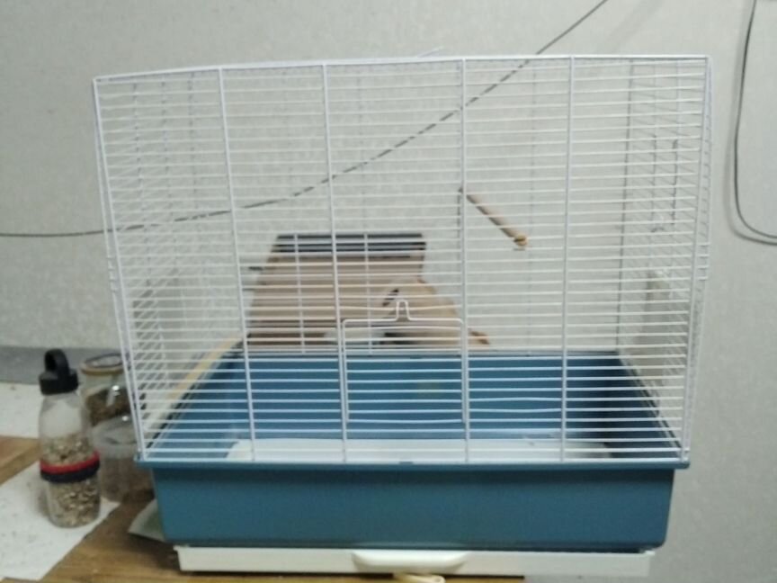 Клетки для певчих птиц