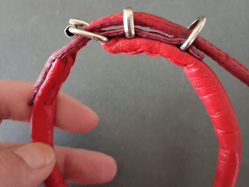 Ошейник для кошек