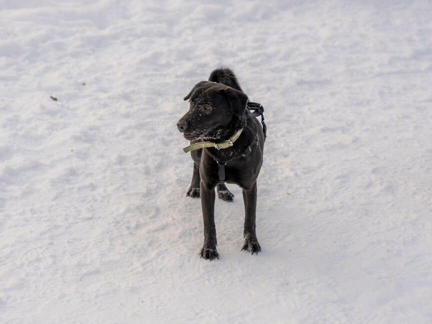 Малютка Лялечка ждёт добрых людей