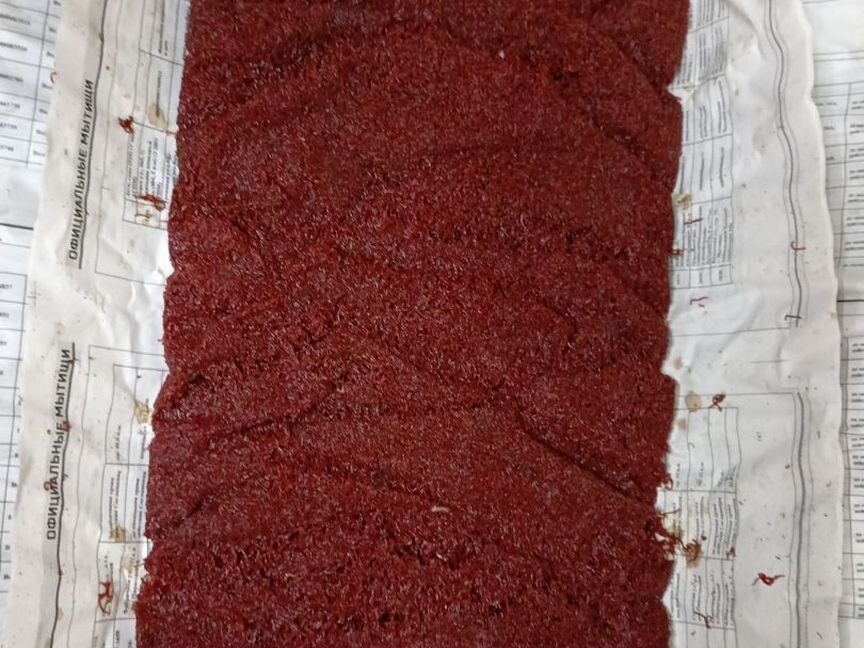 Кормовой мотыль