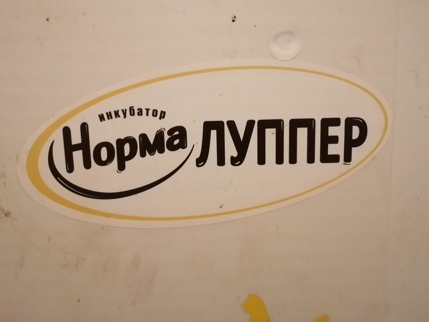 Инкубатор для яиц автоматический бу