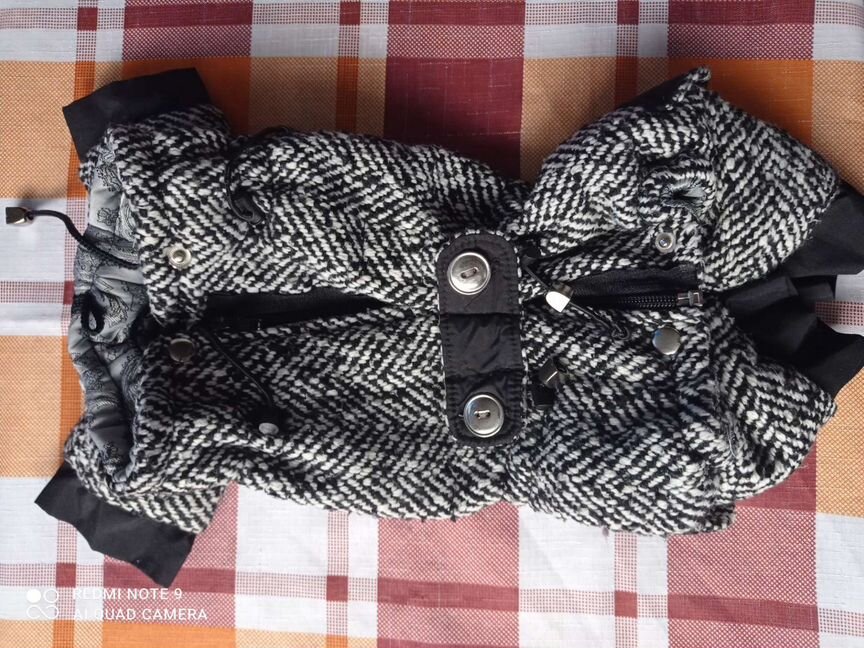 Одежда для маленьких собак