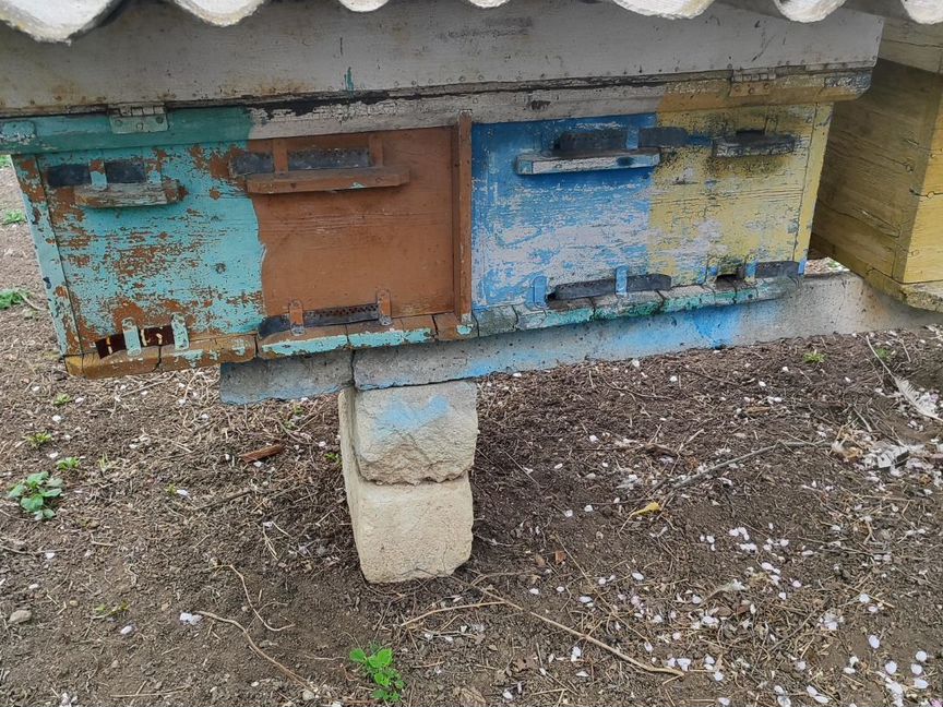 Улей для пчел