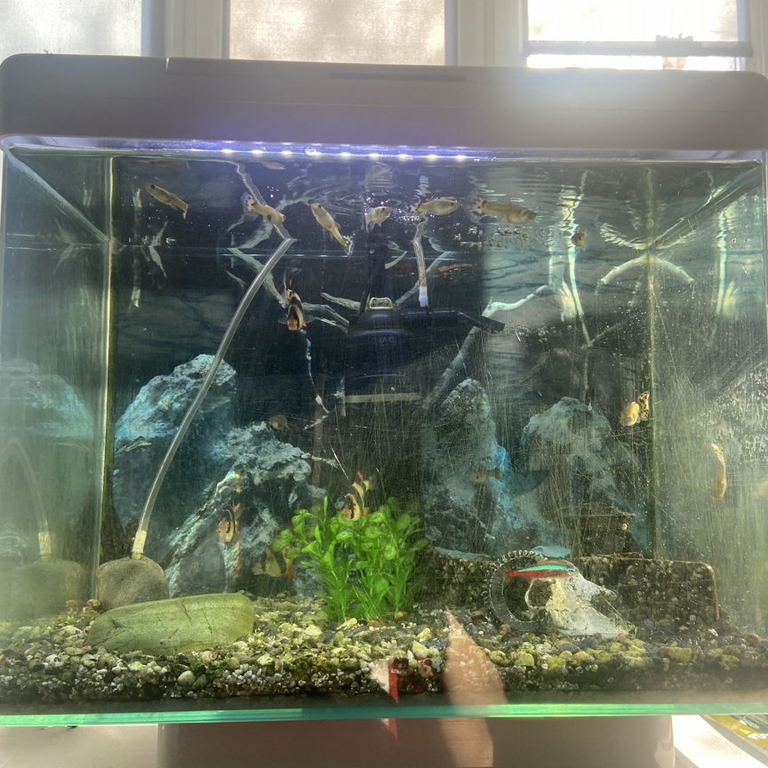 Аквариум с рыбками 35 литров