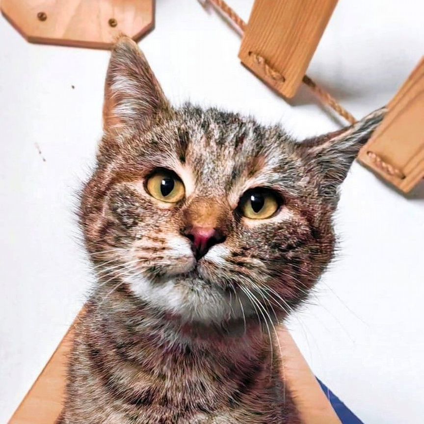 Она изменит вашу жизнь