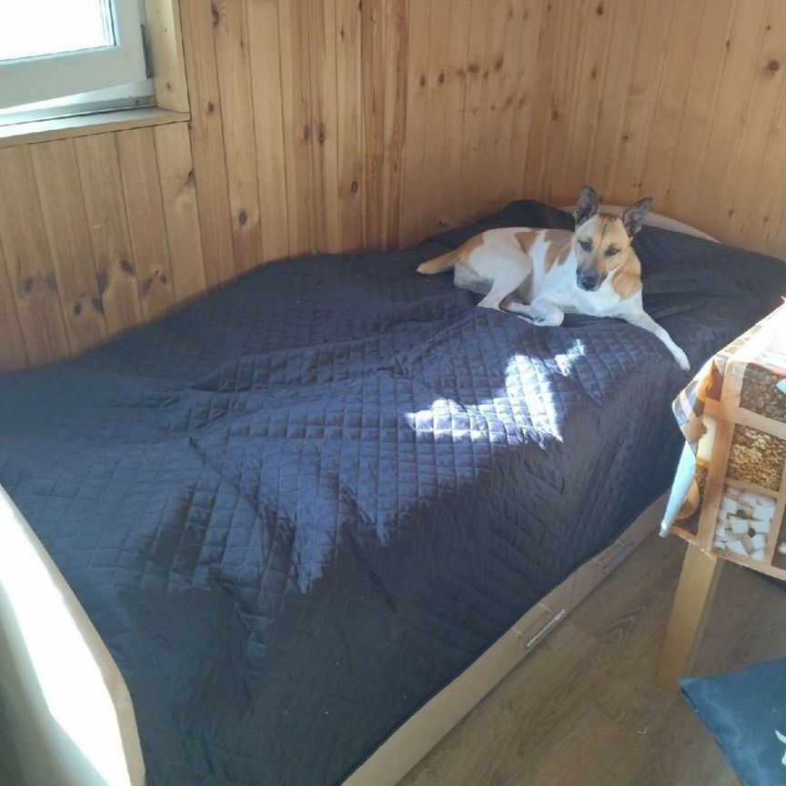 Непромокаемые покрывала для животных 140х200