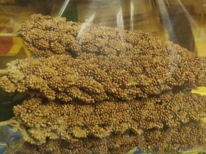 Лакомства для птиц и грызунов Чумиза