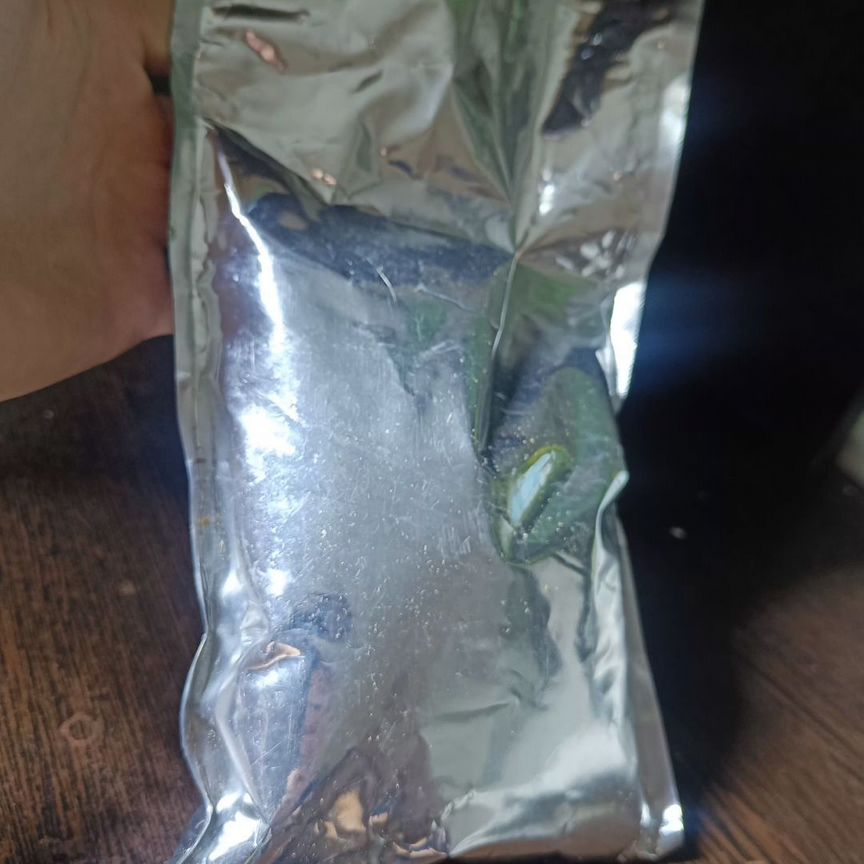 Цисты Артемия