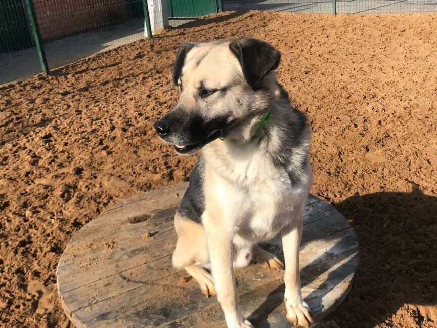 Пуфик из Малинок