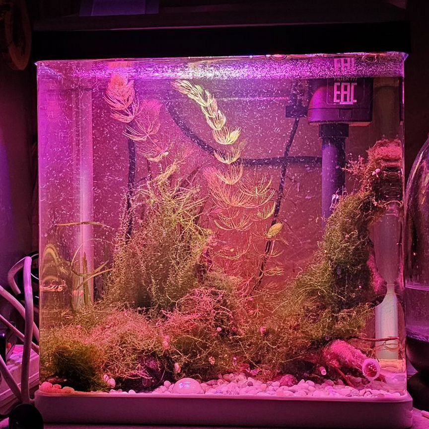 Аквариум нано