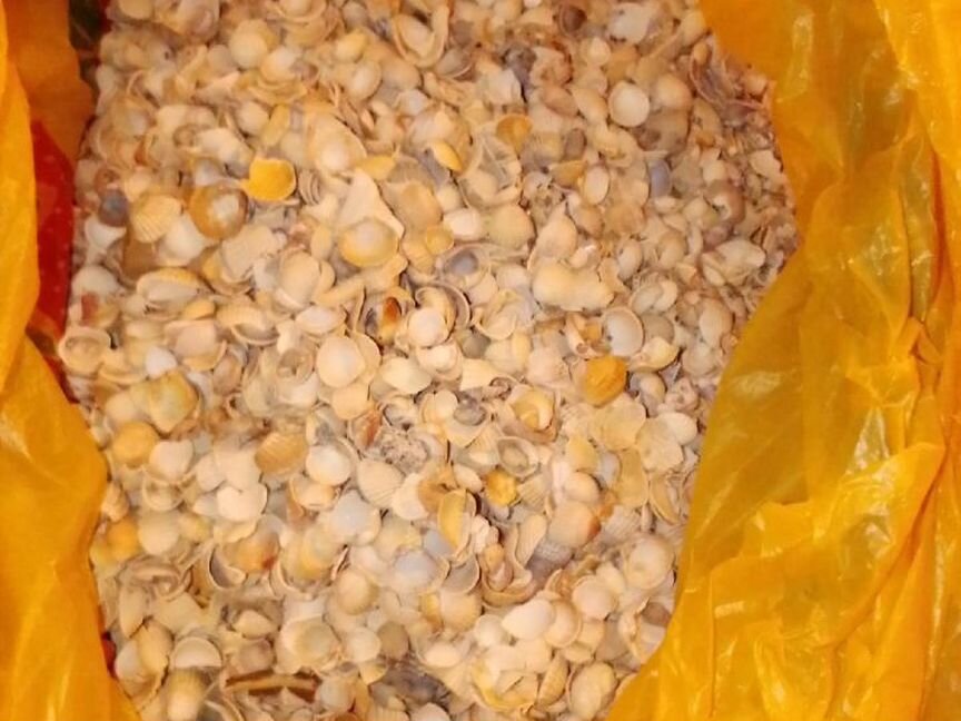 Грунт в аквариум