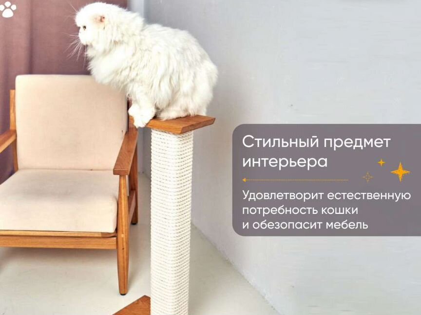 Когтеточка для Кошек