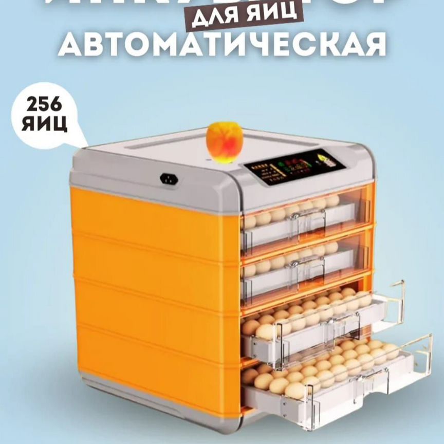Инкубатор для яиц автоматический бу