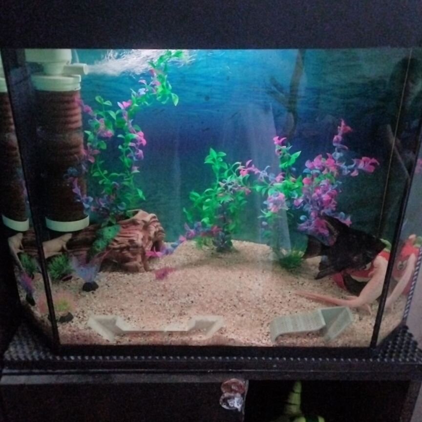 Аквариум с тумбой