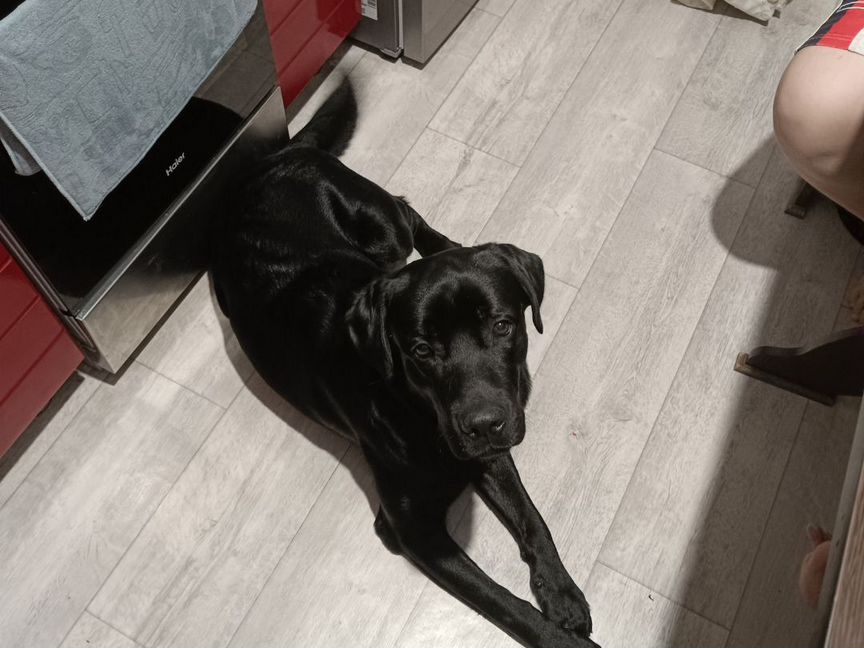 Кабель для вязки