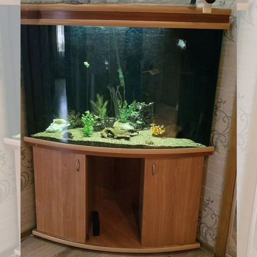 Аквариум угловой с тумбой 350 л