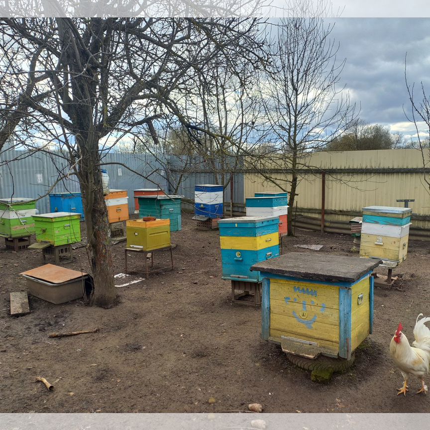 Ульи для пчел бу