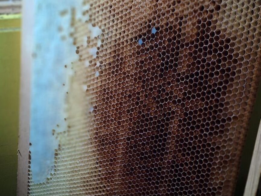 Суш.кормовые рамки