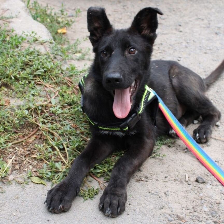 Ждет семью малыш