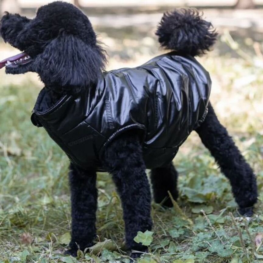 Костюм для собаки