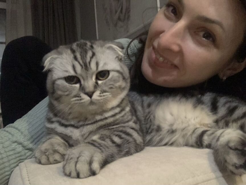 Продается очень красивая кошка Варечка