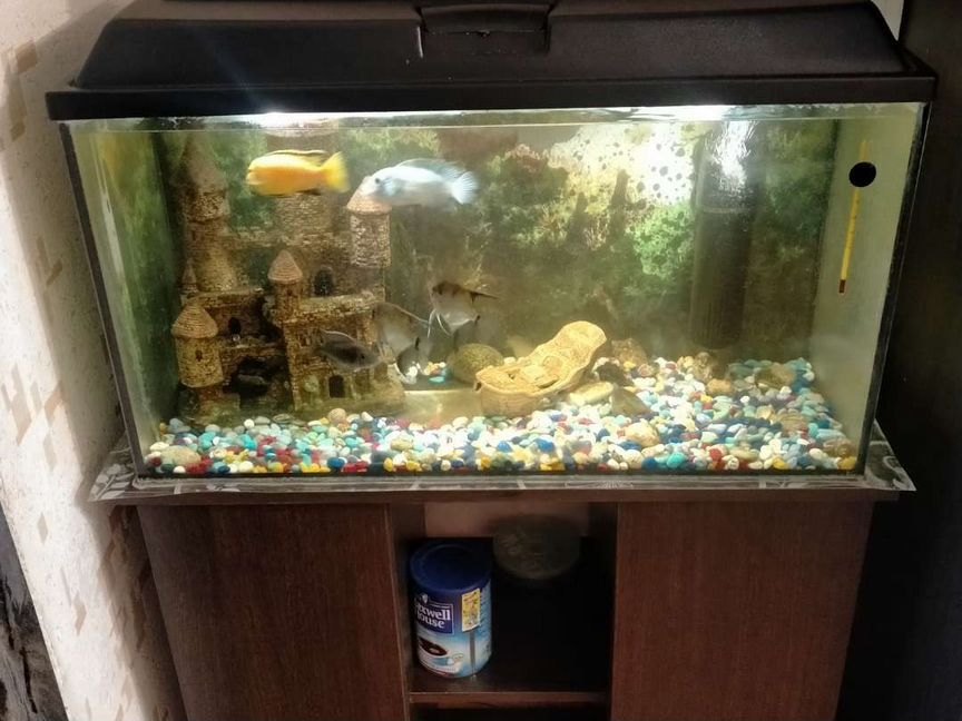 Аквариум с тумбой