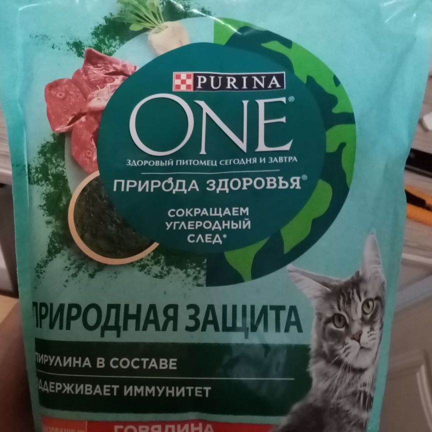 Корм для кошек