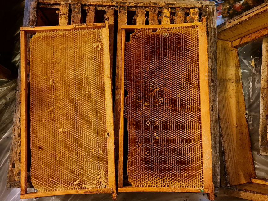 Рамки Рута- 1000 шт.и корпуса