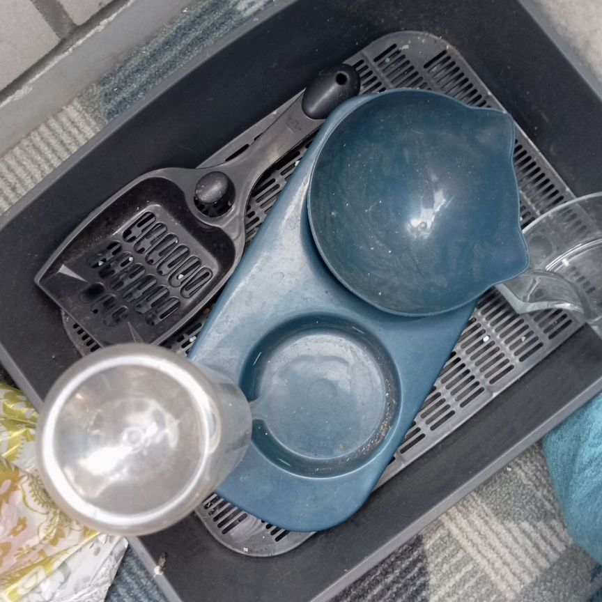 Лоток для кошек